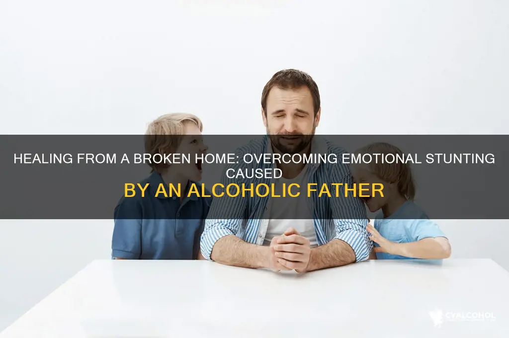 Healing From A Broken Home: Overcoming Emotional Stunting Caused By An ...