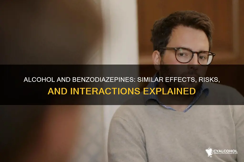 Alcohol And Benzodiazepines: Similar Effects, Risks, And Interactions ...
