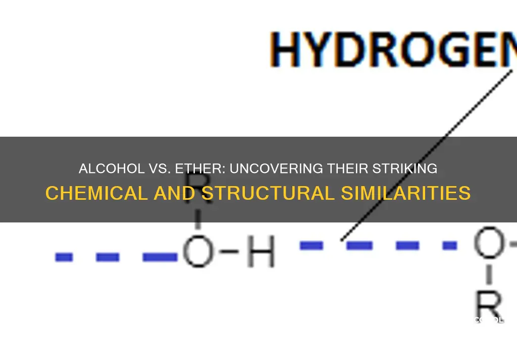 Alcohol Vs. Ether: Uncovering Their Striking Chemical And Structural ...