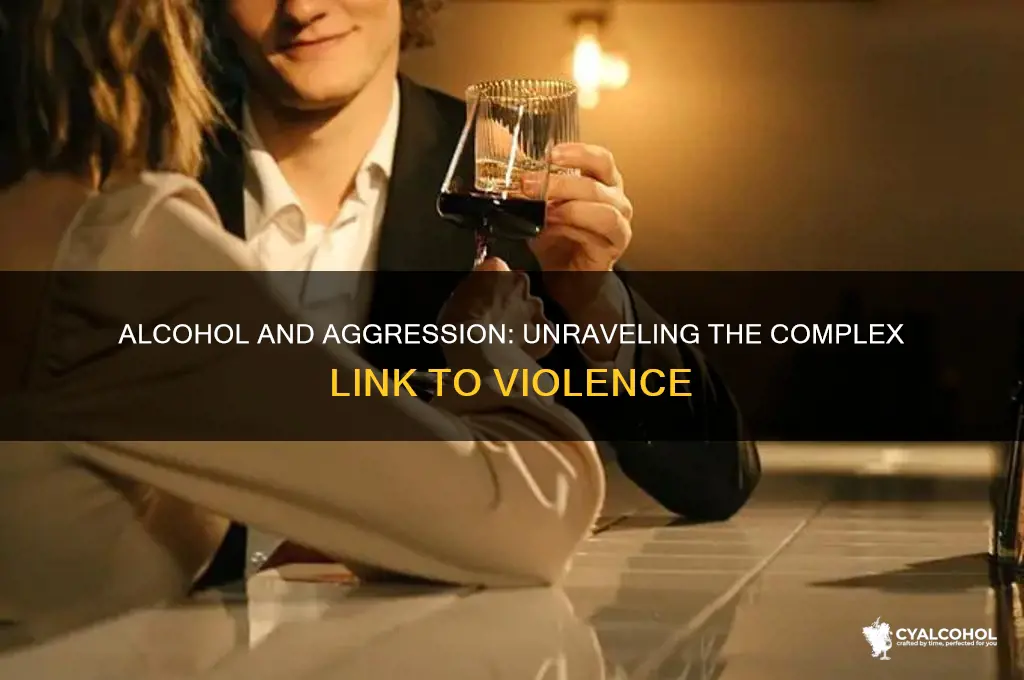 Alcohol And Aggression: Unraveling The Complex Link To Violence | CyAlcohol