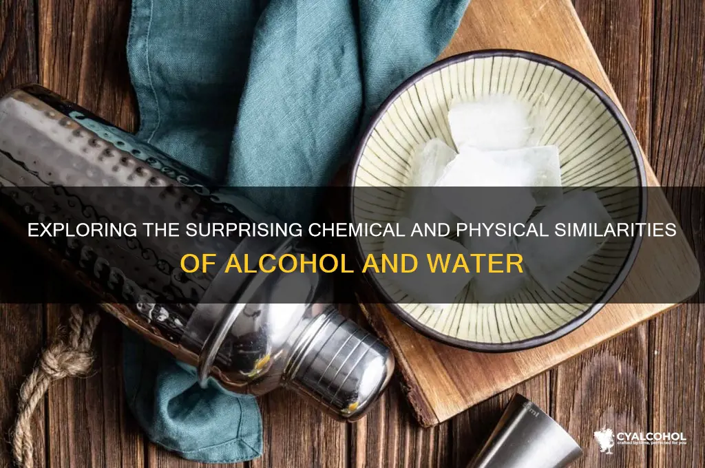 Exploring The Surprising Chemical And Physical Similarities Of Alcohol ...