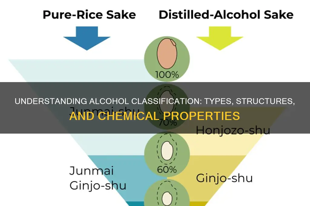 Understanding Alcohol Classification: Types, Structures, And Chemical ...