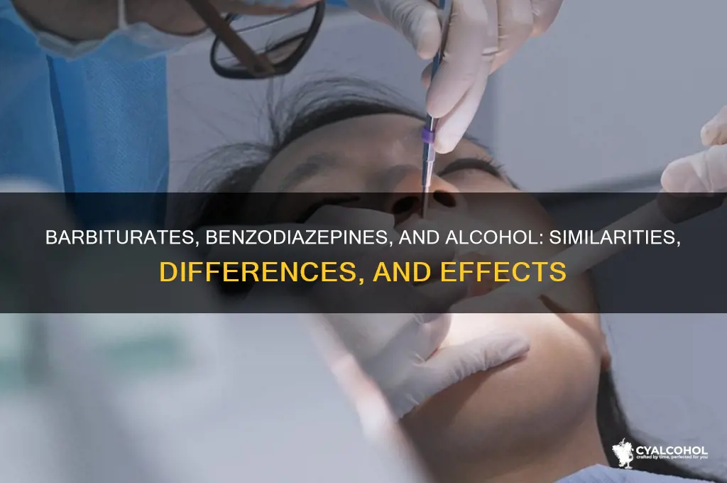 Barbiturates, Benzodiazepines, And Alcohol: Similarities, Differences ...