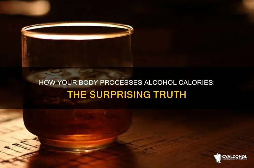 How Your Body Processes Alcohol Calories: The Surprising Truth | CyAlcohol