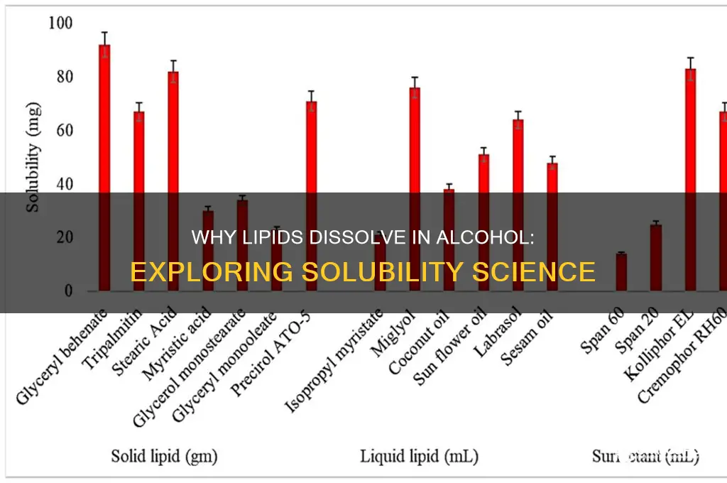 Why Lipids Dissolve In Alcohol: Exploring Solubility Science | CyAlcohol