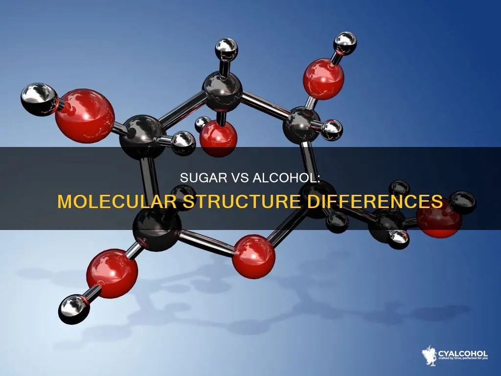 Sugar Vs Alcohol: Molecular Structure Differences | CyAlcohol