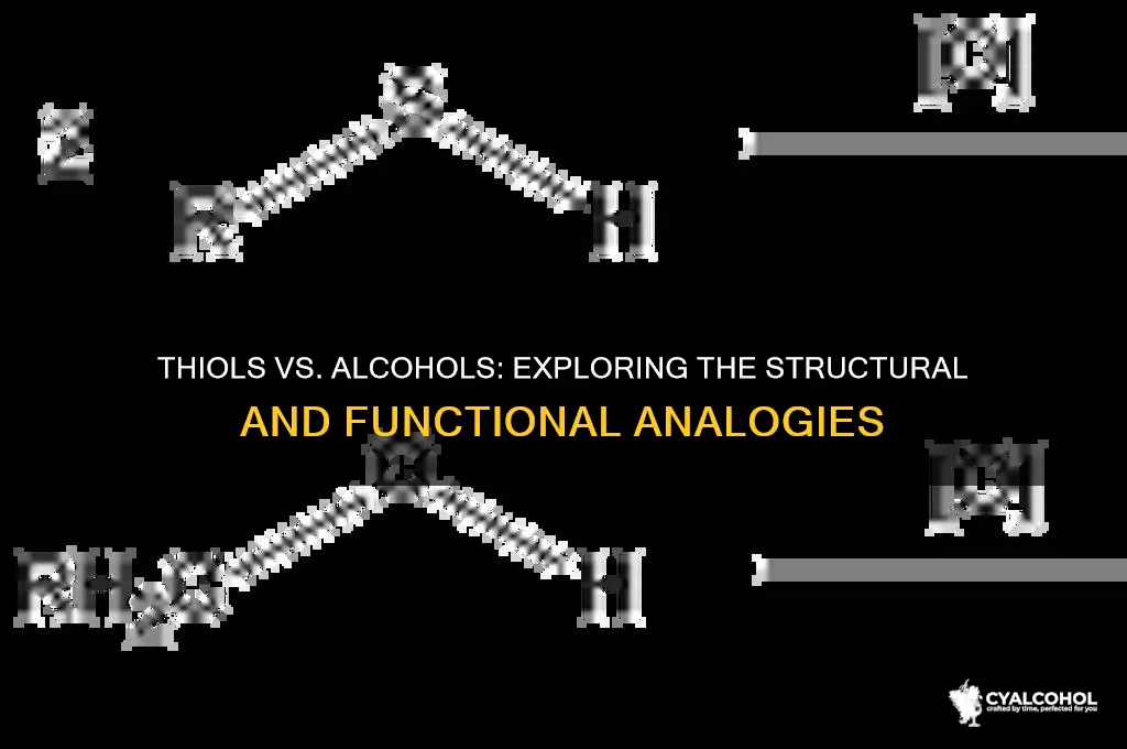 Thiols Vs. Alcohols: Exploring The Structural And Functional Analogies ...