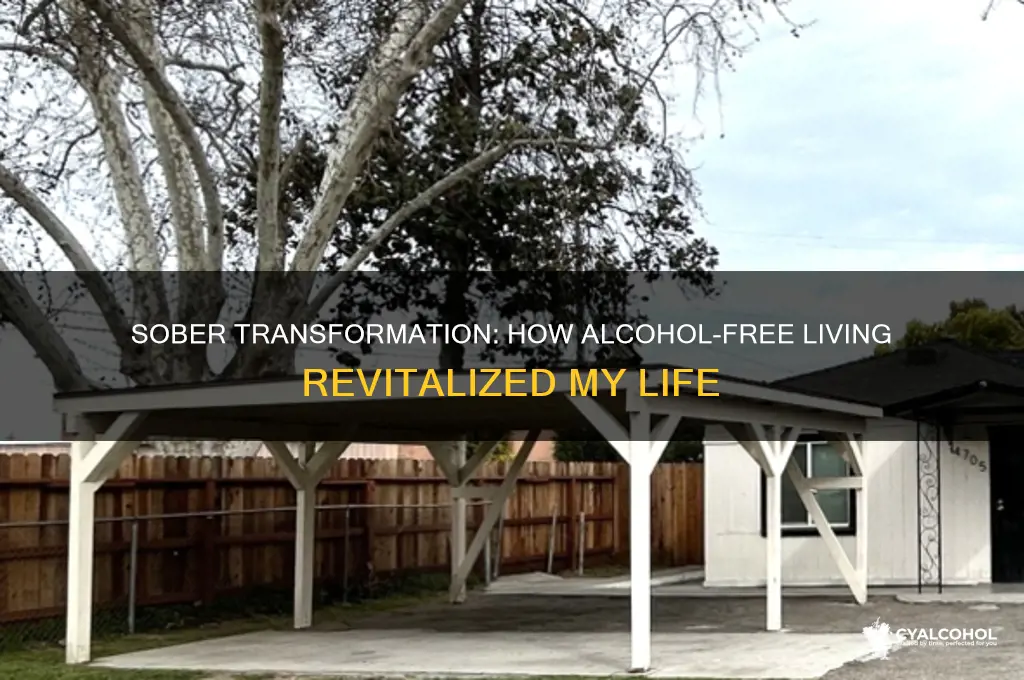 Sober Transformation: How Alcohol-Free Living Revitalized My Life ...