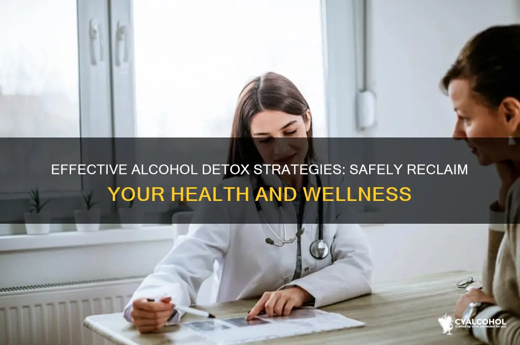 Effective Alcohol Detox Strategies: Safely Reclaim Your Health And ...