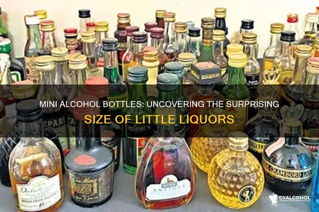 Mini Alcohol Bottles: Uncovering The Surprising Size Of Little Liquors ...