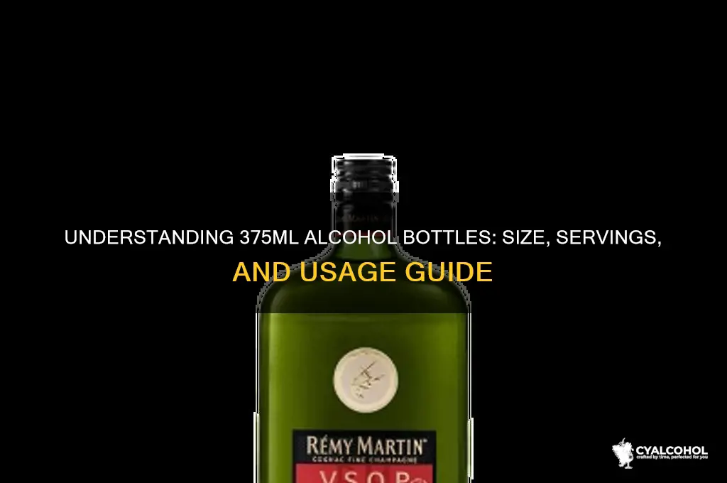 Understanding 375Ml Alcohol Bottles: Size, Servings, And Usage Guide ...