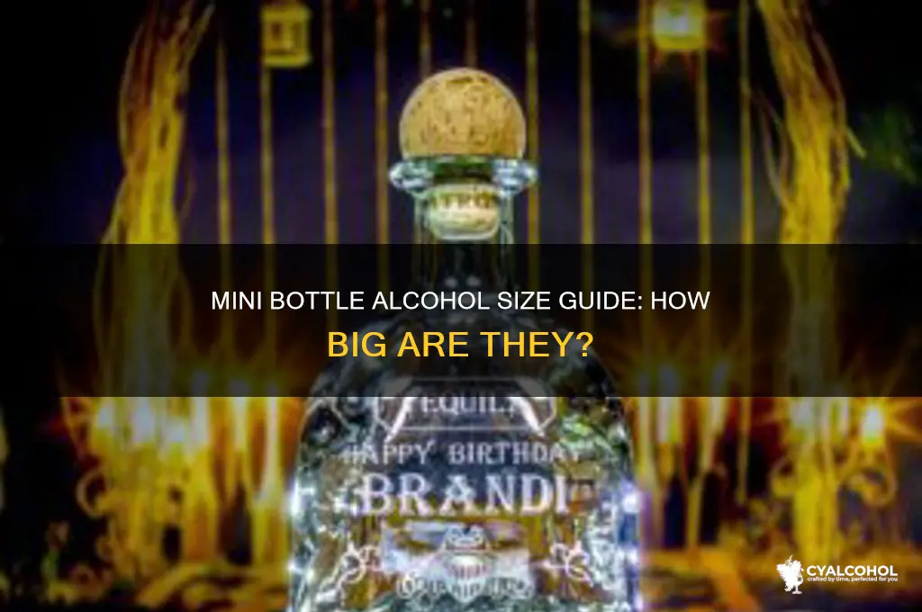 Mini Bottle Alcohol Size Guide: How Big Are They? | CyAlcohol