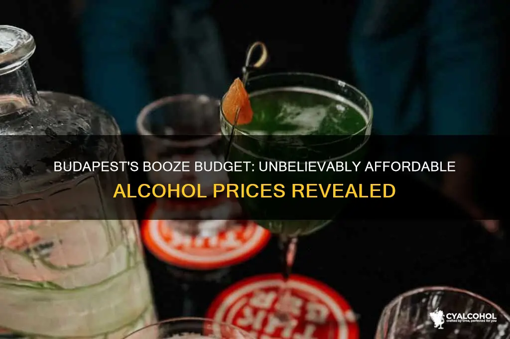 Budapest's Booze Budget: Unbelievably Affordable Alcohol Prices ...