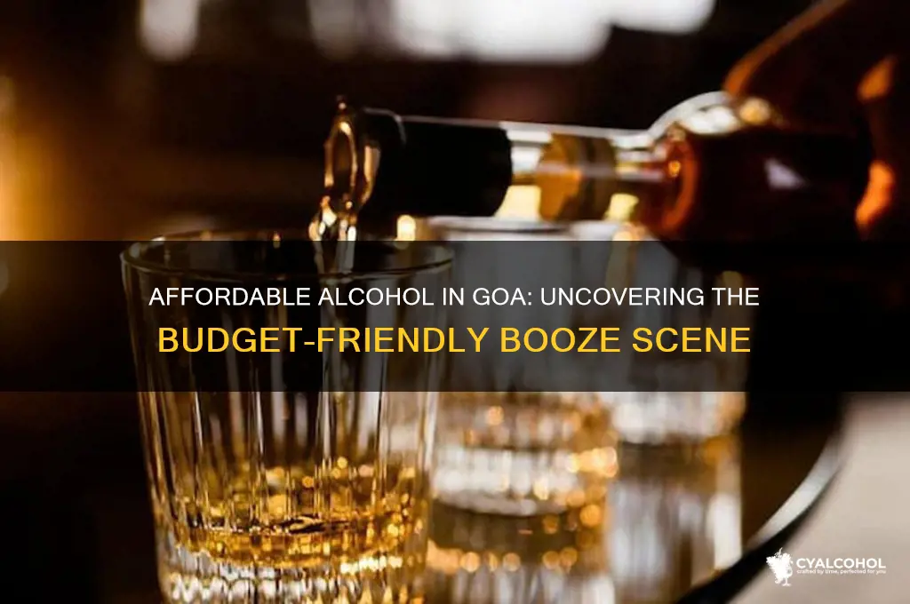Affordable Alcohol In Goa: Uncovering The Budget-Friendly Booze Scene ...