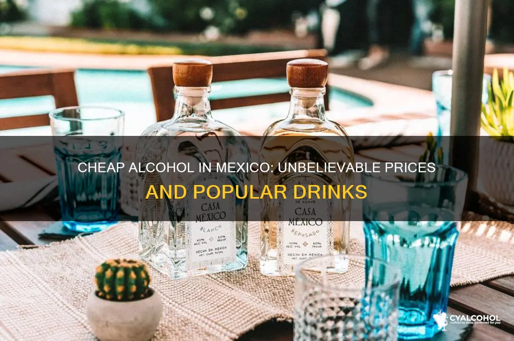 Cheap Alcohol In Mexico: Unbelievable Prices And Popular Drinks | CyAlcohol
