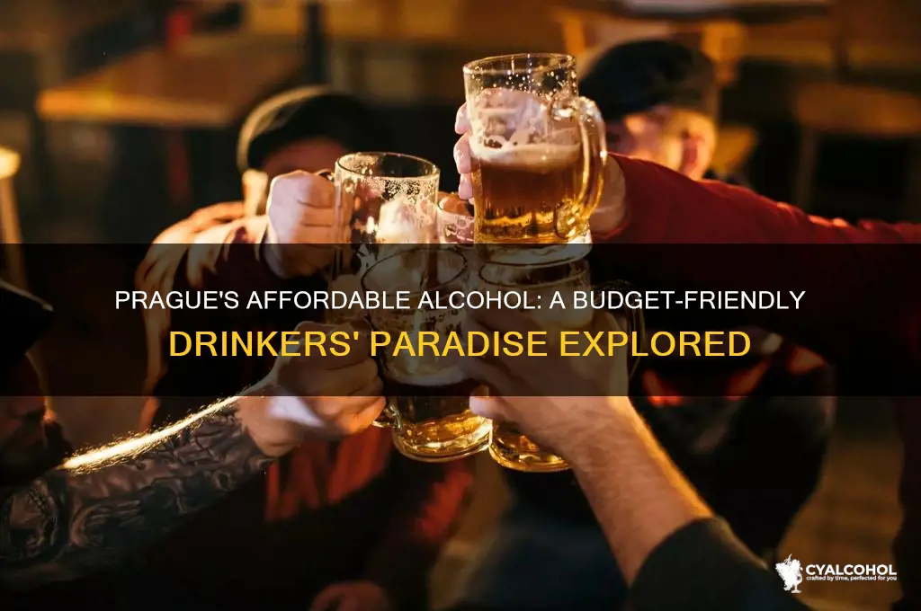Prague's Affordable Alcohol: A Budget-Friendly Drinkers' Paradise ...