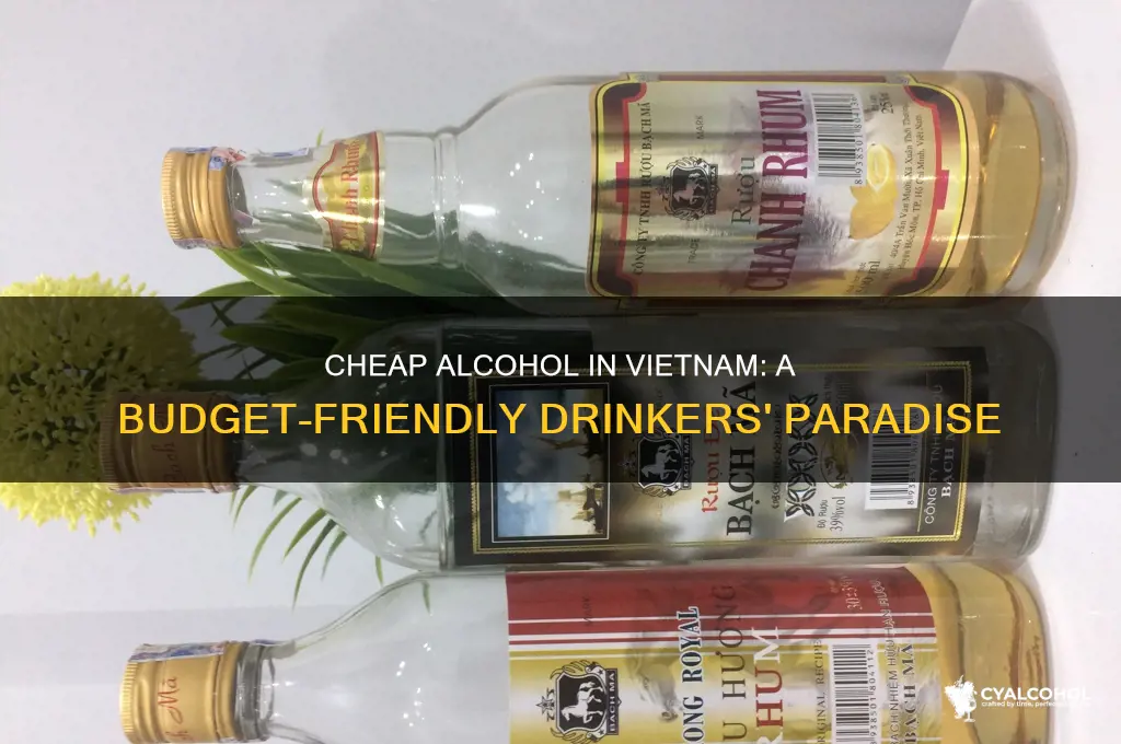 Cheap Alcohol In Vietnam: A Budget-Friendly Drinkers' Paradise | CyAlcohol