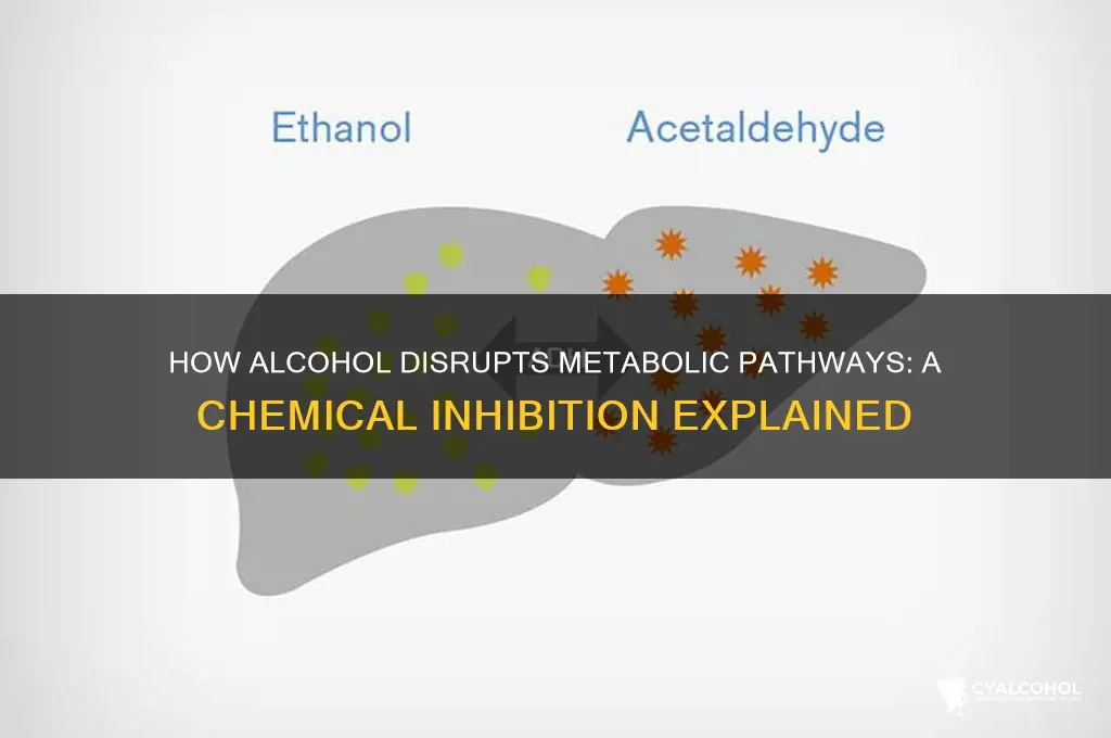 How Alcohol Disrupts Metabolic Pathways: A Chemical Inhibition ...