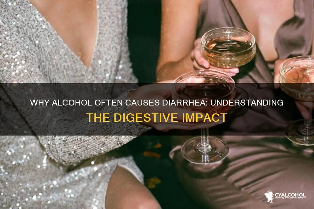Why Alcohol Often Causes Diarrhea: Understanding The Digestive Impact ...