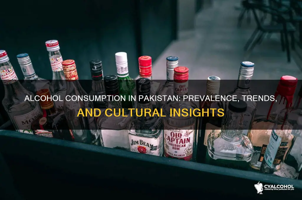 Alcohol Consumption In Pakistan: Prevalence, Trends, And Cultural ...