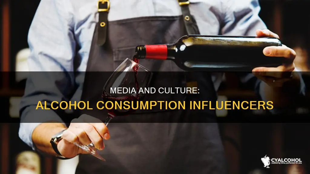 Media And Culture: Alcohol Consumption Influencers | CyAlcohol