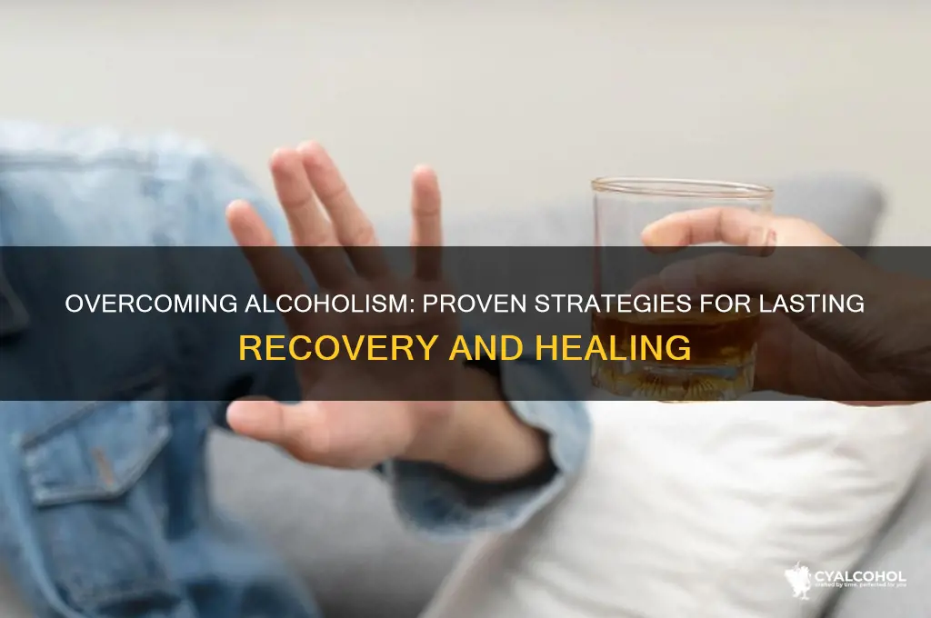 Overcoming Alcoholism: Proven Strategies For Lasting Recovery And ...