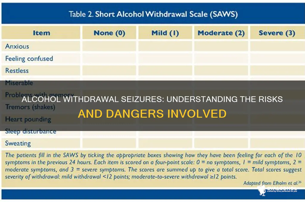 Alcohol Withdrawal Seizures: Understanding The Risks And Dangers ...