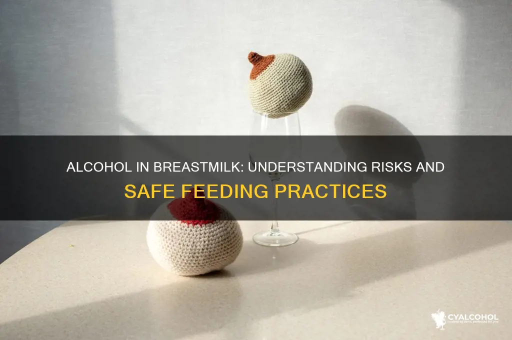 Alcohol In Breastmilk: Understanding Risks And Safe Feeding Practices ...