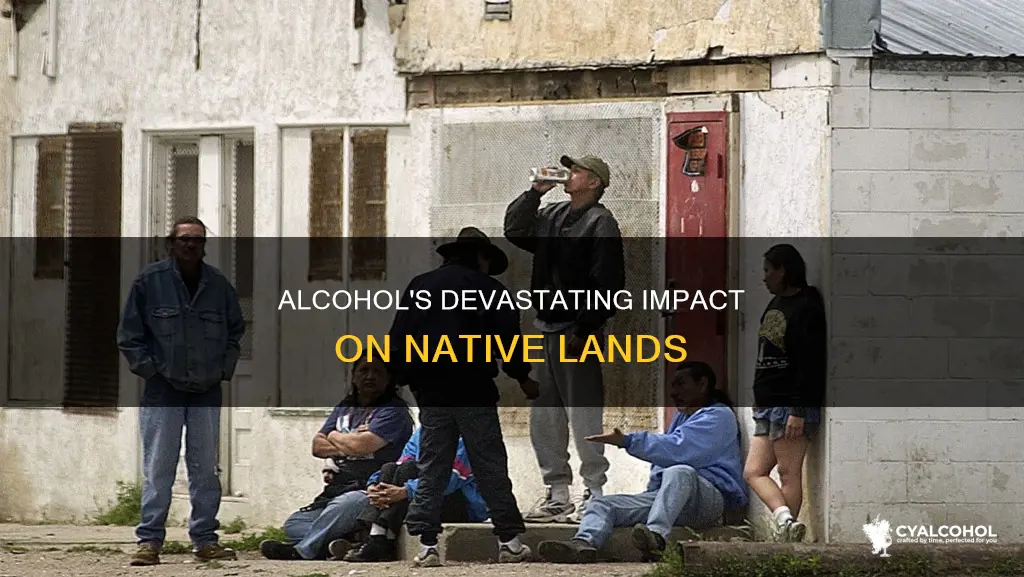 Alcohol's Devastating Impact On Native Lands | CyAlcohol