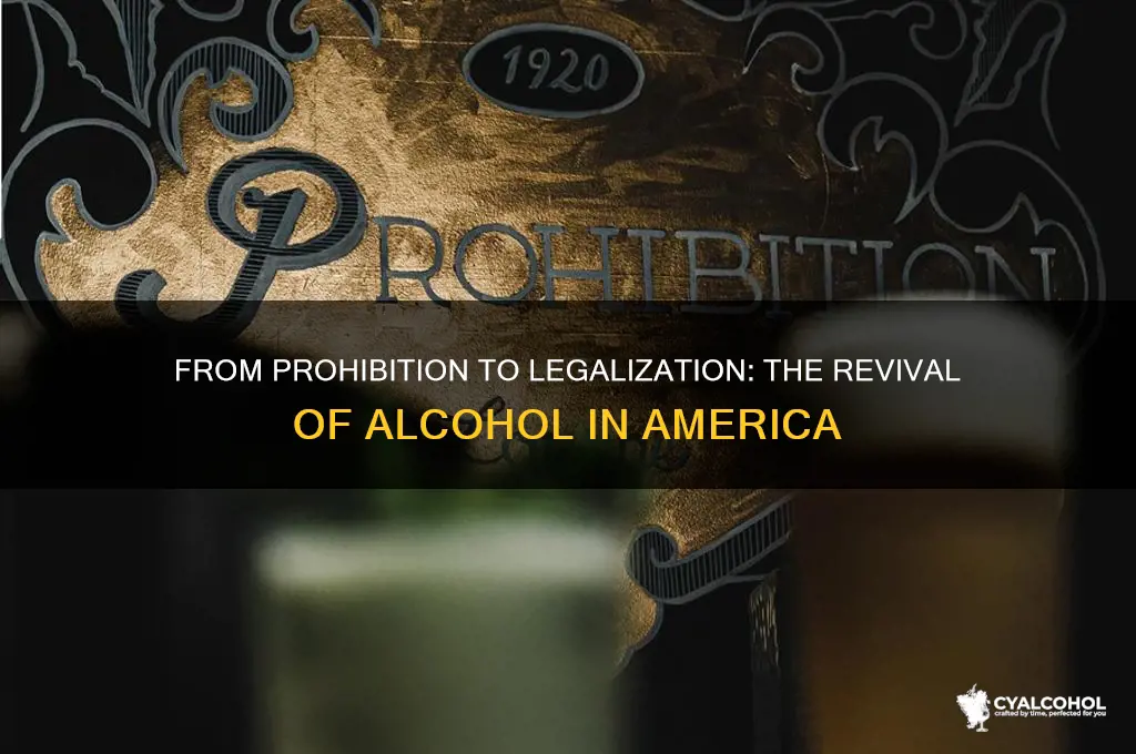 From Prohibition To Legalization: The Revival Of Alcohol In America ...