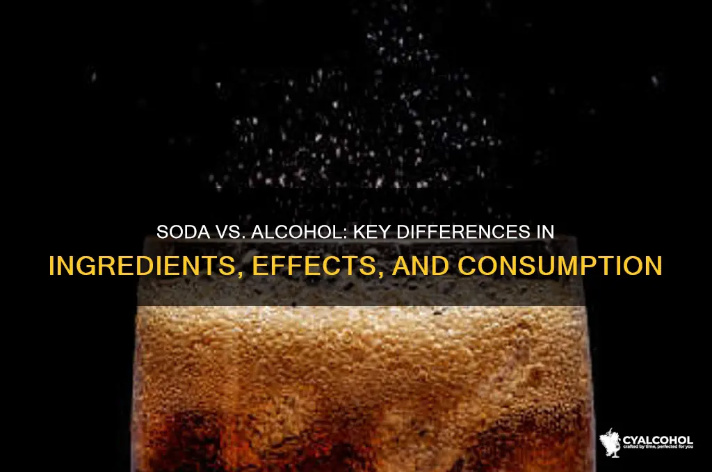 Soda Vs. Alcohol: Key Differences In Ingredients, Effects, And ...