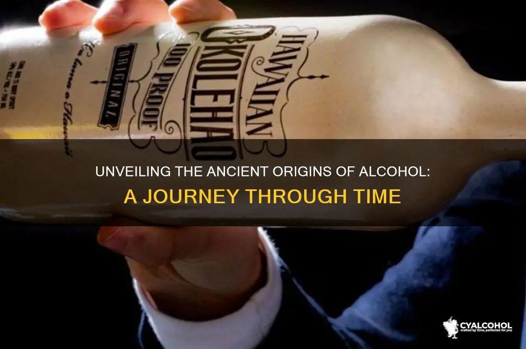 Unveiling The Ancient Origins Of Alcohol: A Journey Through Time ...