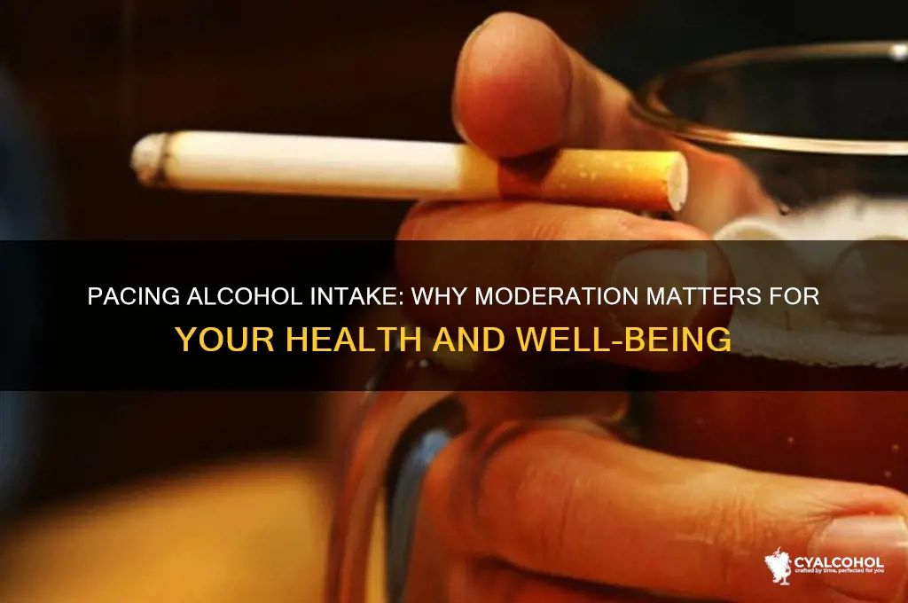 Pacing Alcohol Intake: Why Moderation Matters For Your Health And Well ...
