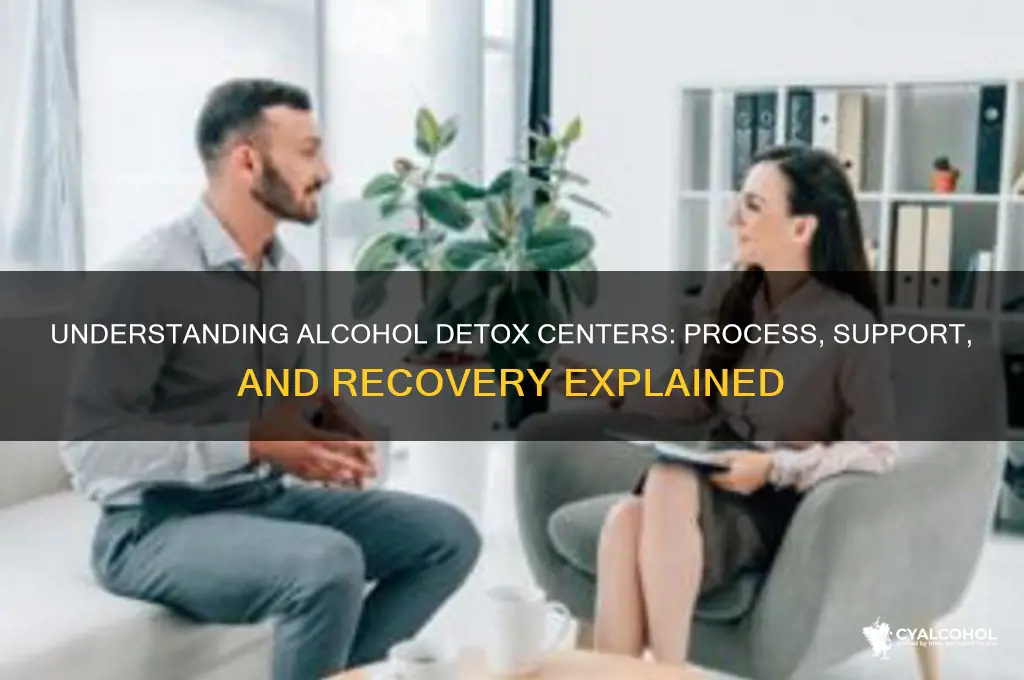 Understanding Alcohol Detox Centers: Process, Support, And Recovery ...