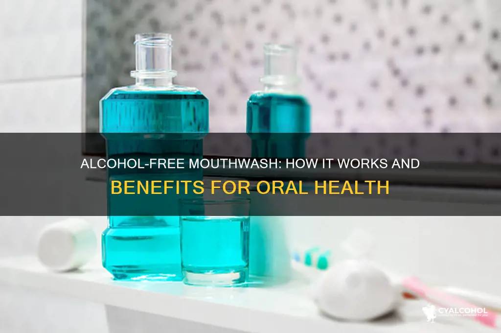 Alcohol-Free Mouthwash: How It Works And Benefits For Oral Health ...