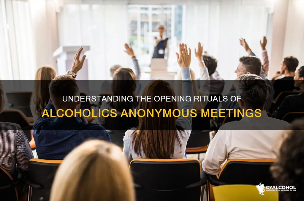 Understanding The Opening Rituals Of Alcoholics Anonymous Meetings ...