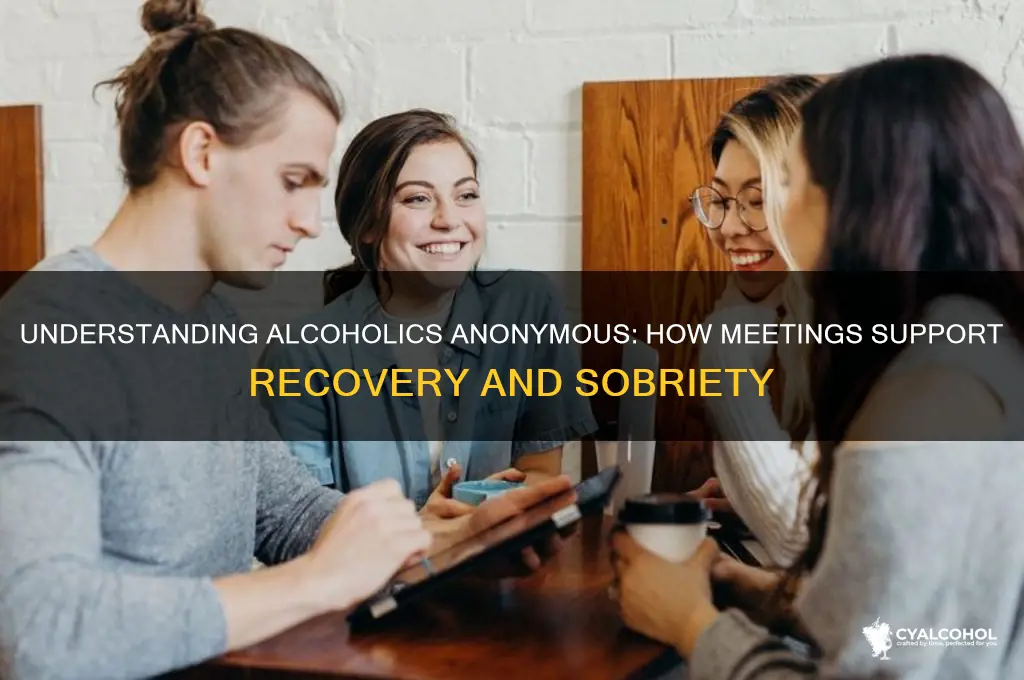 Understanding Alcoholics Anonymous: How Meetings Support Recovery And ...