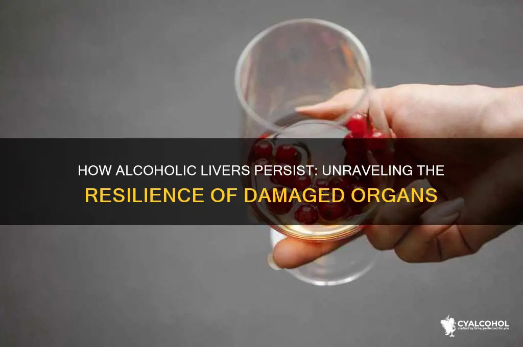 How Alcoholic Livers Persist: Unraveling The Resilience Of Damaged ...