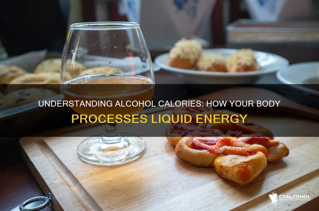 Understanding Alcohol Calories: How Your Body Processes Liquid Energy ...