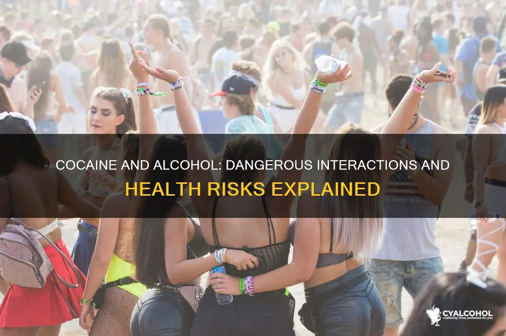Cocaine And Alcohol: Dangerous Interactions And Health Risks Explained ...
