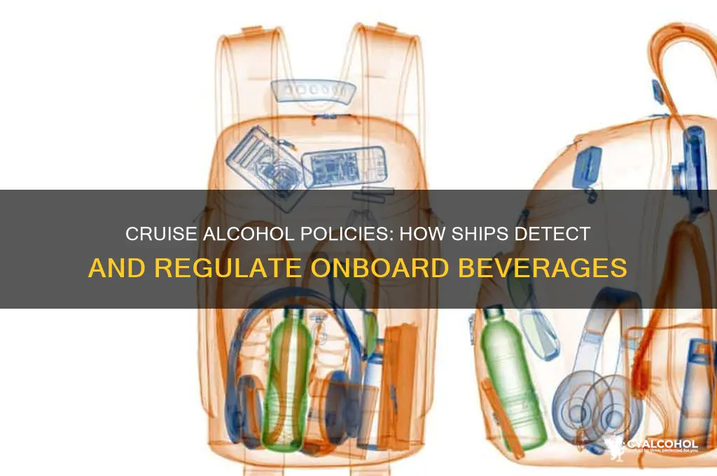 Cruise Alcohol Policies: How Ships Detect And Regulate Onboard ...