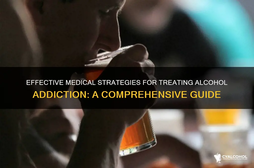 Effective Medical Strategies For Treating Alcohol Addiction: A ...