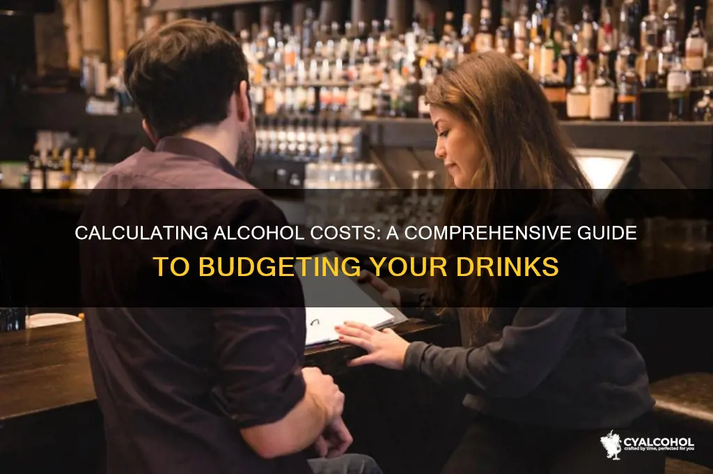 Calculating Alcohol Costs: A Comprehensive Guide To Budgeting Your ...