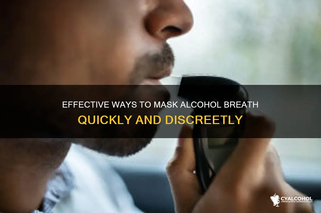 Effective Ways To Mask Alcohol Breath Quickly And Discreetly | CyAlcohol