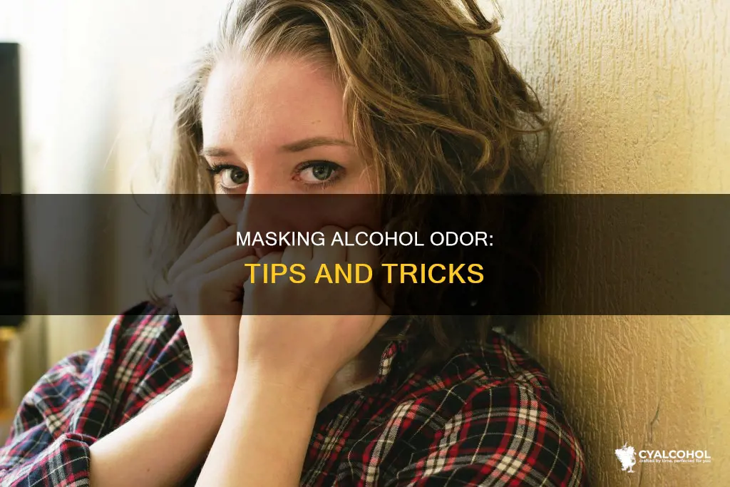 Masking Alcohol Odor: Tips And Tricks | CyAlcohol