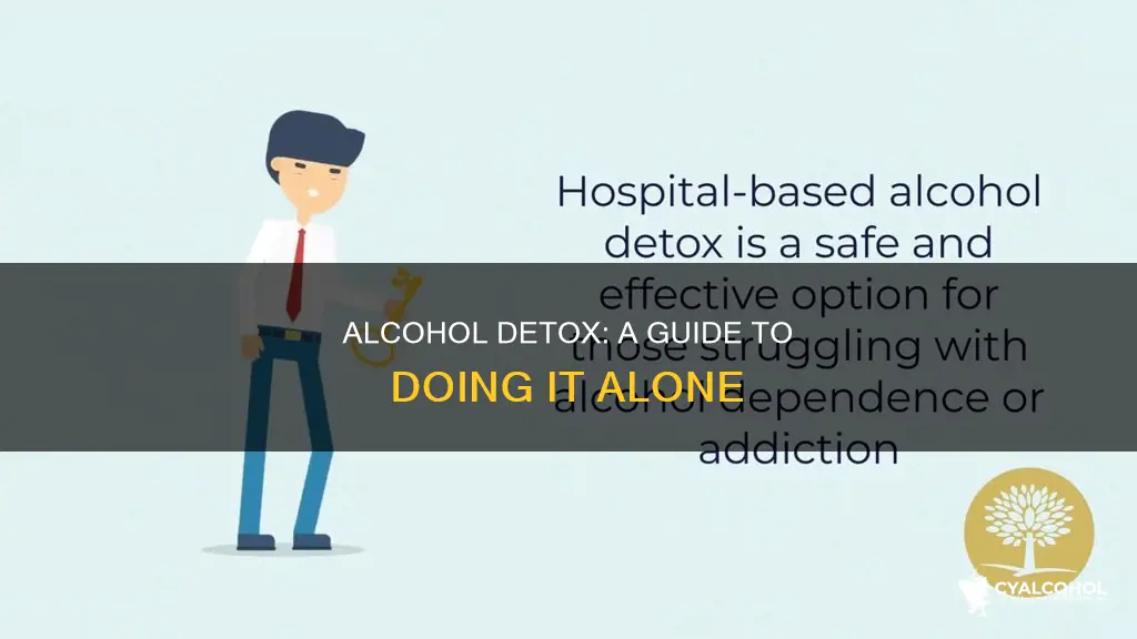Alcohol Detox: A Guide To Doing It Alone | CyAlcohol