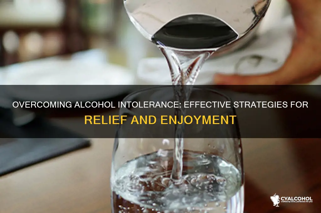 Overcoming Alcohol Intolerance: Effective Strategies For Relief And ...
