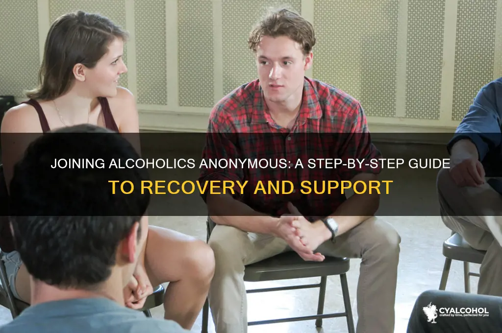 Joining Alcoholics Anonymous: A Step-By-Step Guide To Recovery And ...
