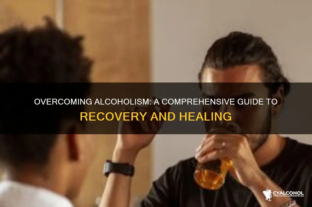 Overcoming Alcoholism: A Comprehensive Guide To Recovery And Healing ...