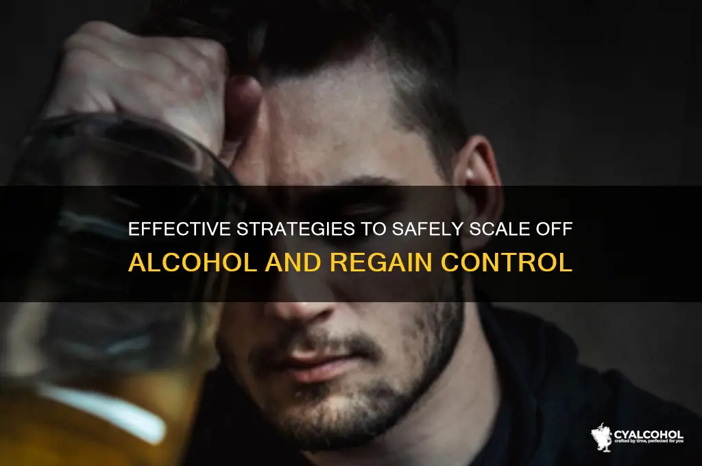 Effective Strategies To Safely Scale Off Alcohol And Regain Control ...